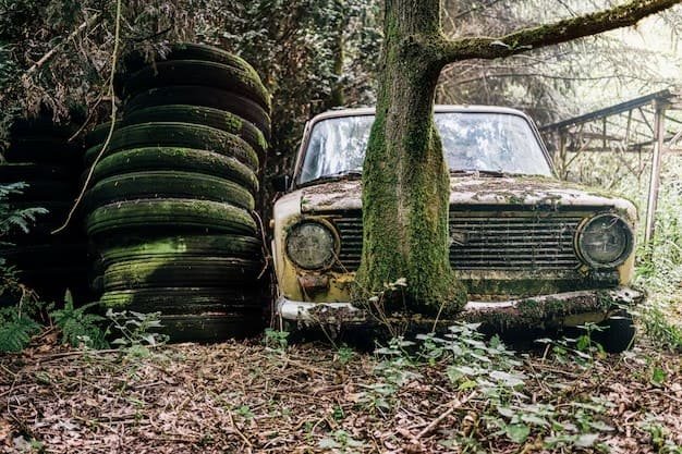 Top Cash for Junk Cars - Efficient Scrap Car Removal in Ohsweken